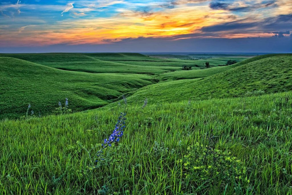 Wild Blue Yonder - Symphony in the Flint Hills